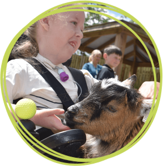 Therapy pygmy goats visit Charlton Farm | Childrens Hospice South West