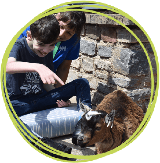 Therapy pygmy goats visit Charlton Farm | Childrens Hospice South West