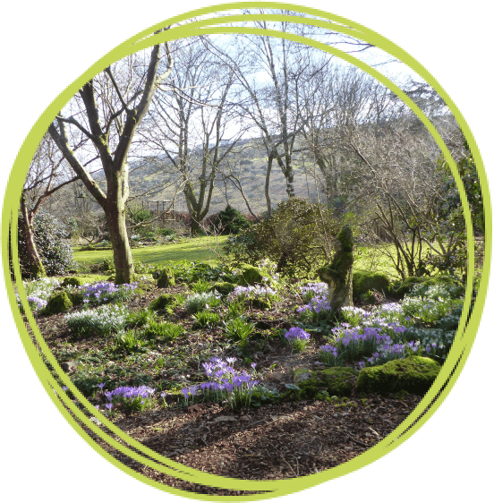 Andrews Corner Snowdrop Sunday | Childrens Hospice South West