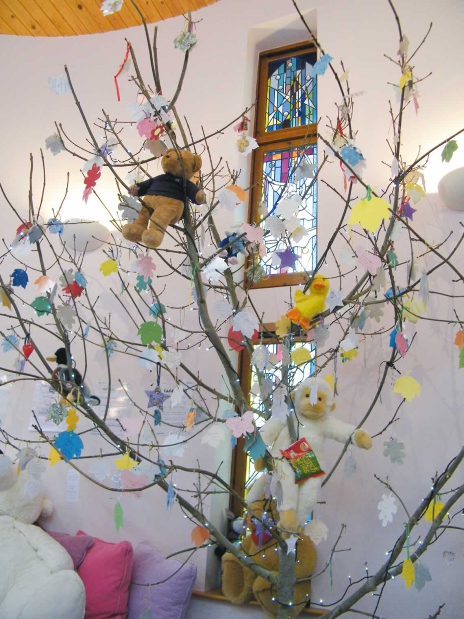 Little Bridge House | Childrens Hospice South West