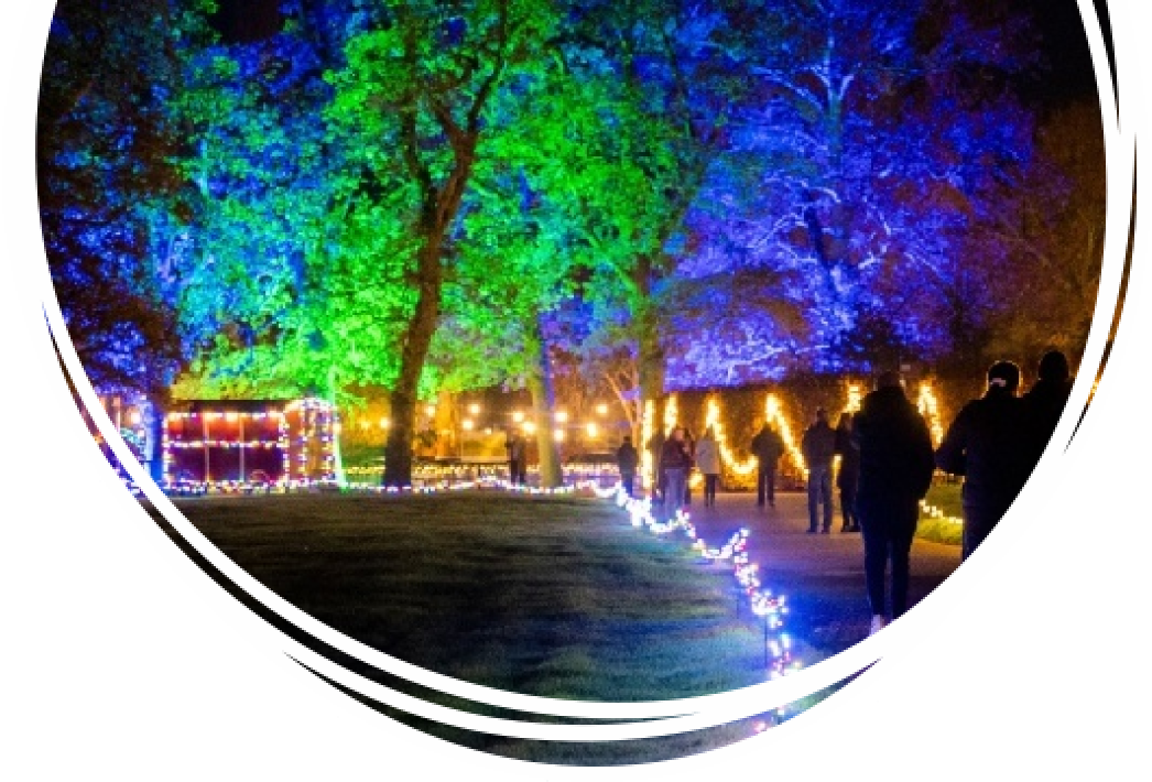 Moonlight Memory Walk Devon 2024